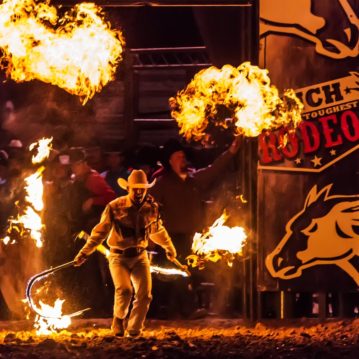 Cinch Rodeo